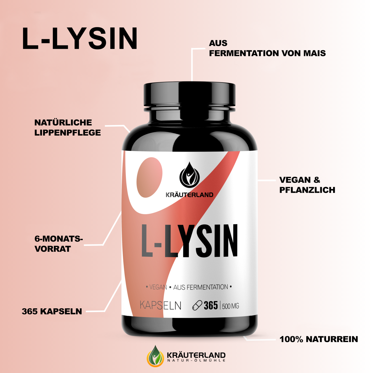 L-Lysin Kapseln - Hochdosiert & Vegan aus Fermentation